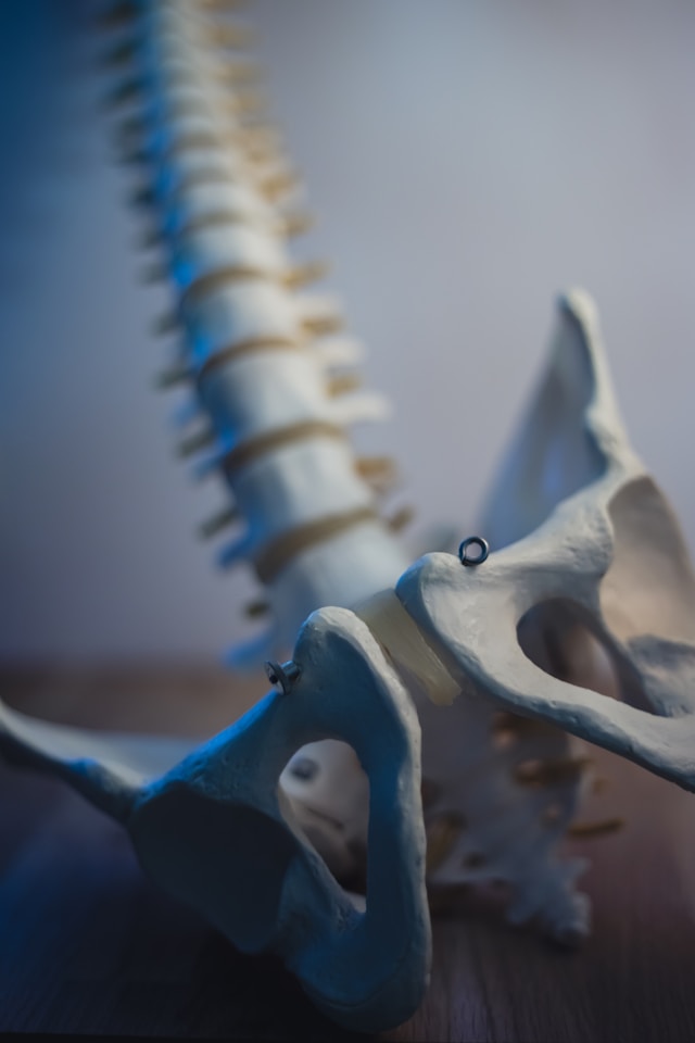 Exploring Traditional and Modern Bone Adjustment in Singapore - Learn ...